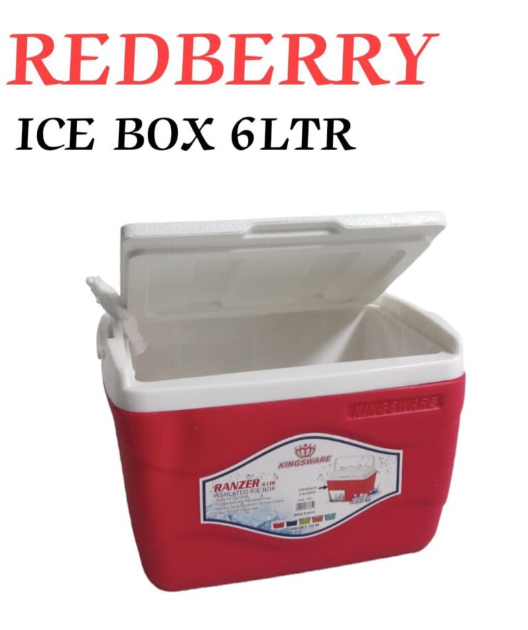 Redberry 6L Insulated Cooler Boxes – Deqcue Space & Style